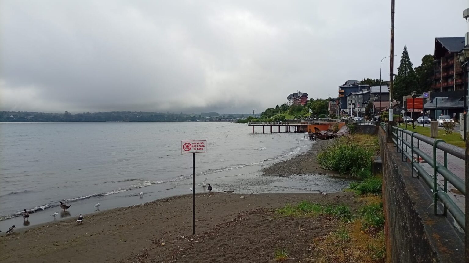 Últimas mediciones: Seremi de Salud detecta coliformes fecales hasta 16 ...